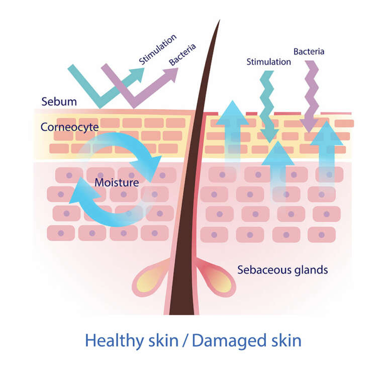 Facial Treatments for Glassy Skin and Anti-Aging | Elizabeth Roche